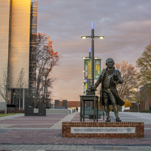 Center for Community Mental Health | CCMH Services